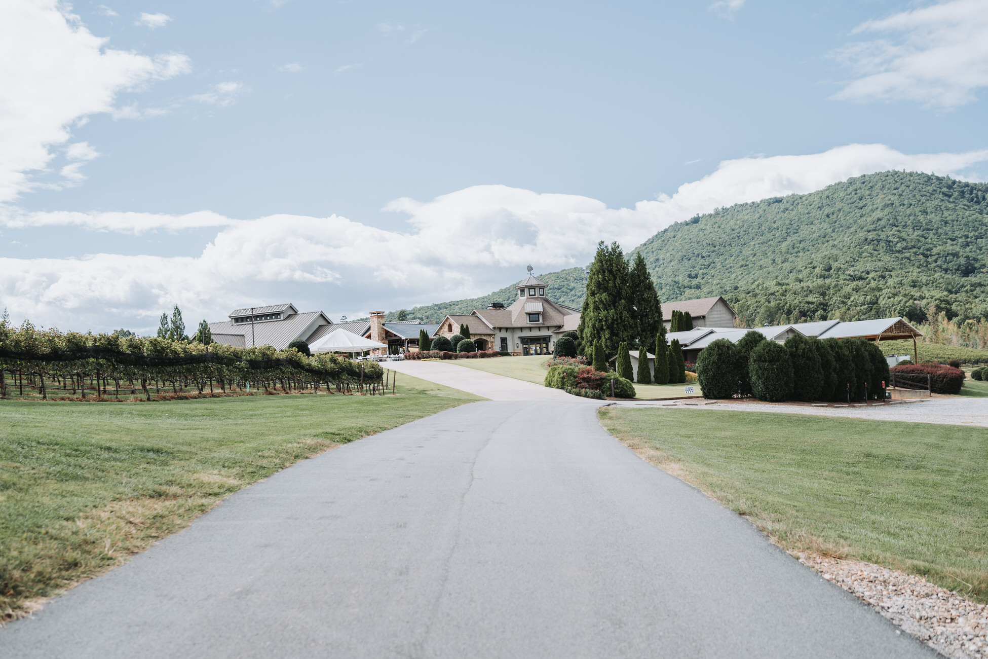 Yonah Mountain Vineyards Wedding: Photos, Cost, and Tips - Maggie ...
